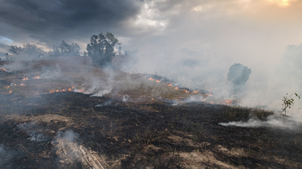 El Nino Bushfires - Hazavoid - Wireless Emergency Alert Systems